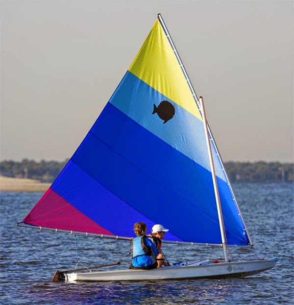 The Ivy Handbook: THE OVERSIZED JOY OF THE TINY SUNFISH
