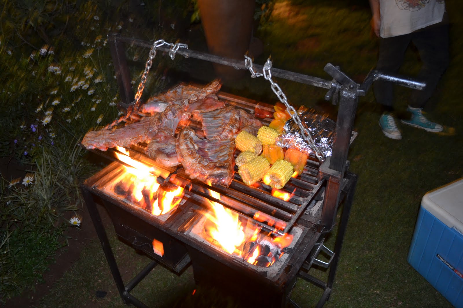 Renewable Energy Solutions Kenya: A 4 burner Cookswell BBQ jiko - save ...