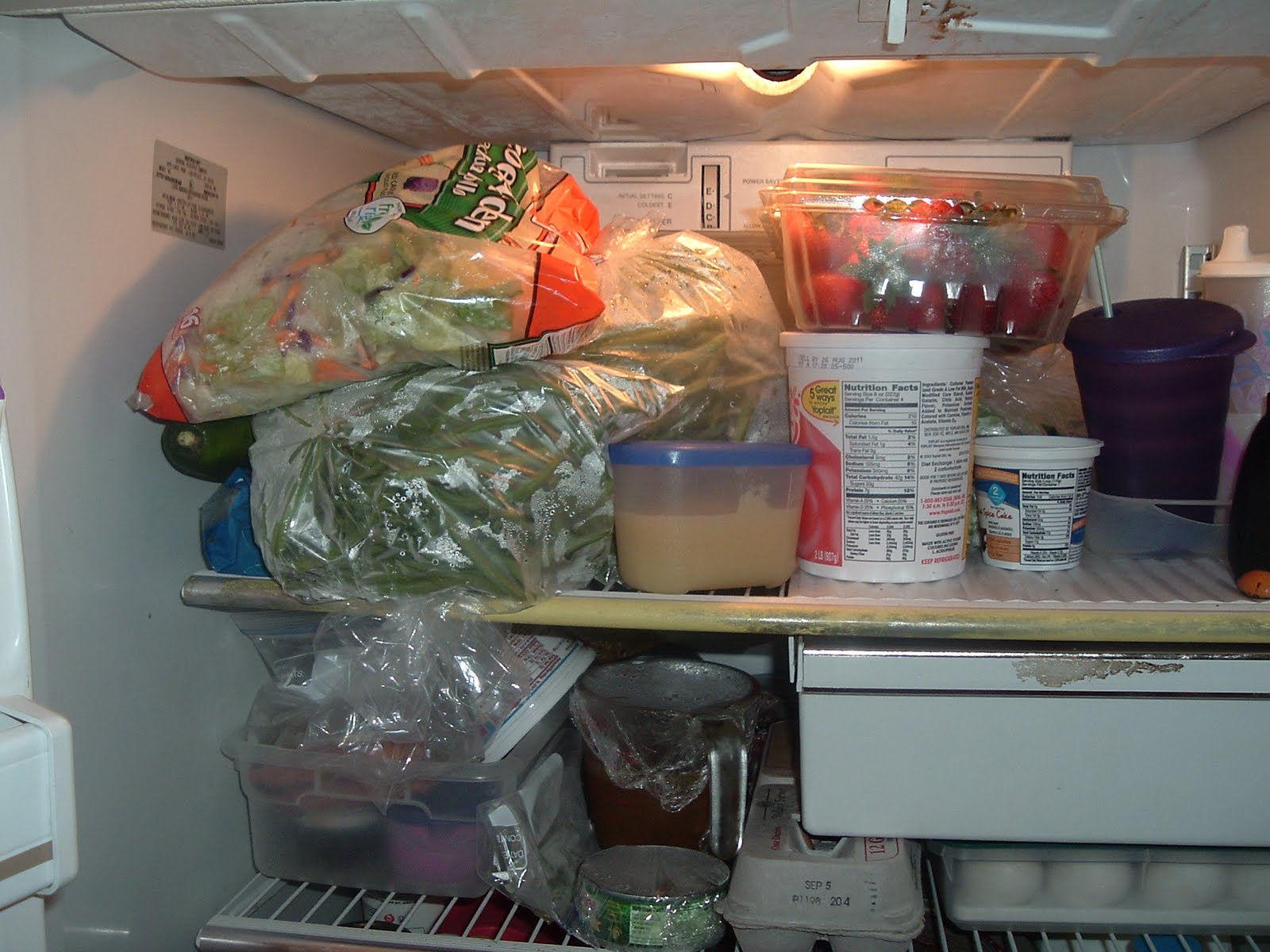 Homespun Inspirations: The Fridge: Cleaning & Organizing