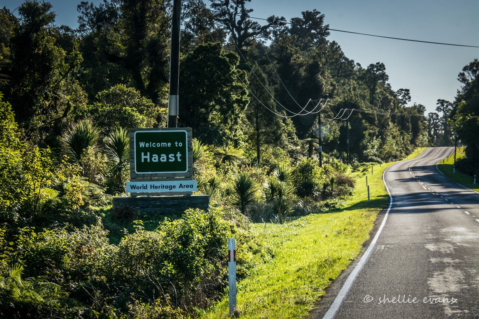 Two Go Tiki Touring: Haast Pass