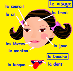 AFTex Notre Petit Monde: Les parties du visage