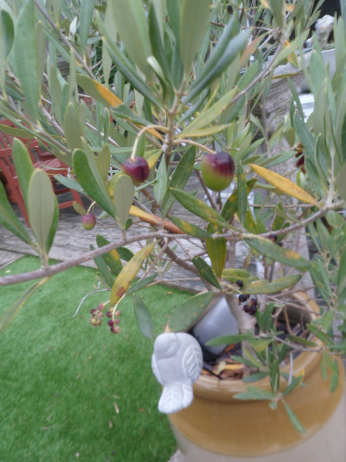 Poppy Patchwork: Harvest