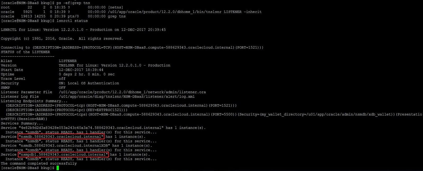 Netsoftmate Technical Blog : Step 7 - Oracle DBCS : Connecting To a Database Service Using ...