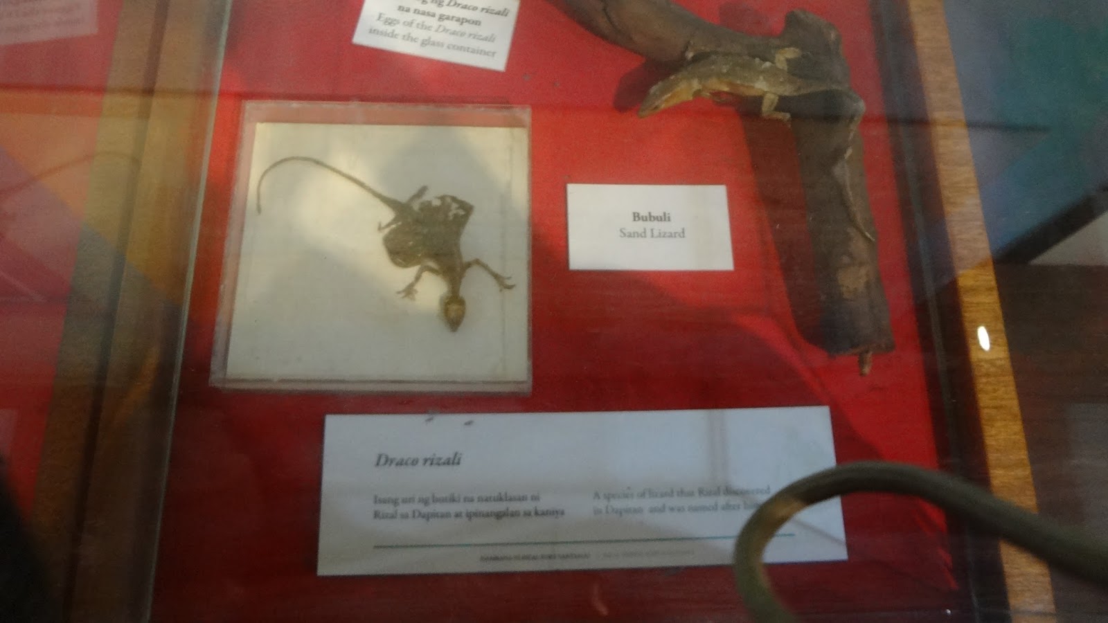 Rizal Legacy: Mga naiwang alaala ni Jose Rizal