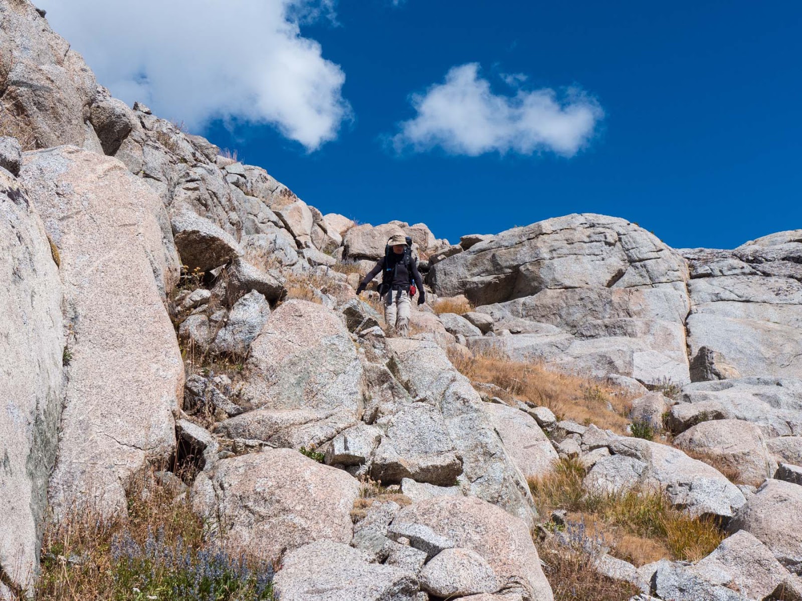 Macpaulster's Blog: Piute Pass, Alpine Col, Darwin Bench, Lamarck Col ...