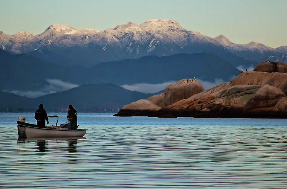 Dyckia Brazil: Snow in Santa Catarina Brazil today!