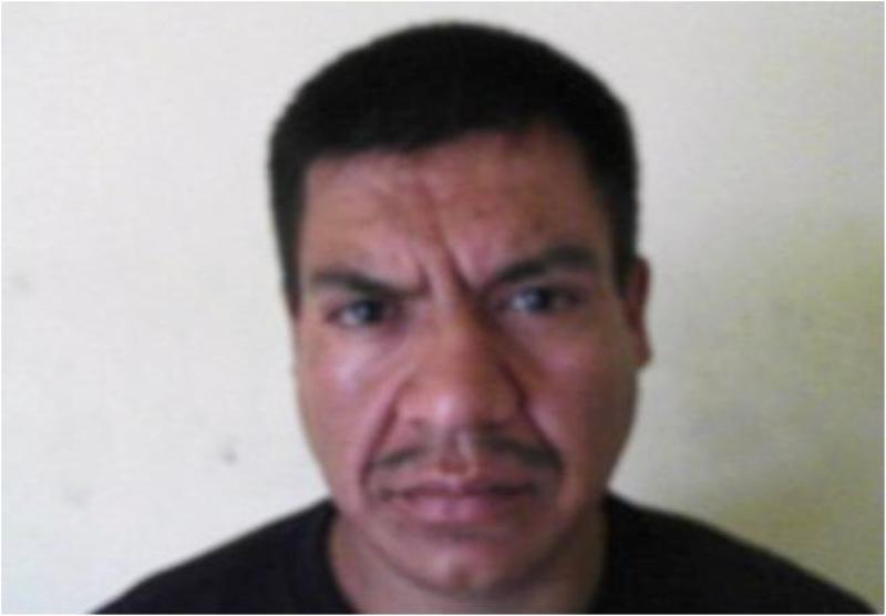 Sala de Prensa Virtual: 08/14/13