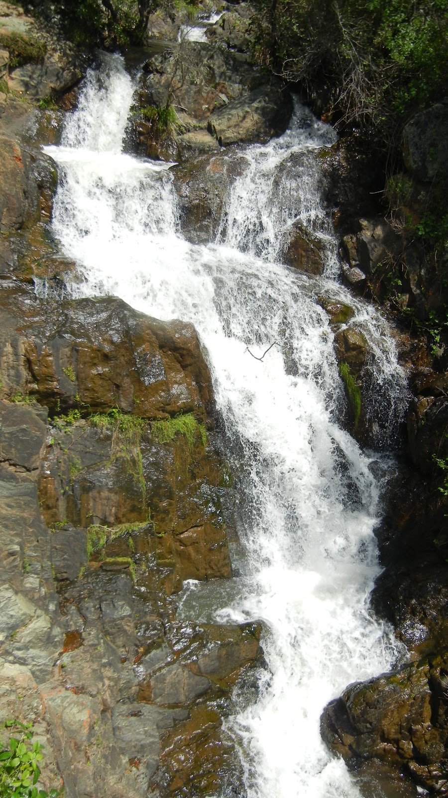 Peachy Hiker: Hidden Falls in Placer County, CA