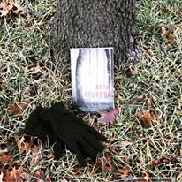 Angel Erin's Book Obsession: The Devil Crept In By: Ania Ahlborn Review