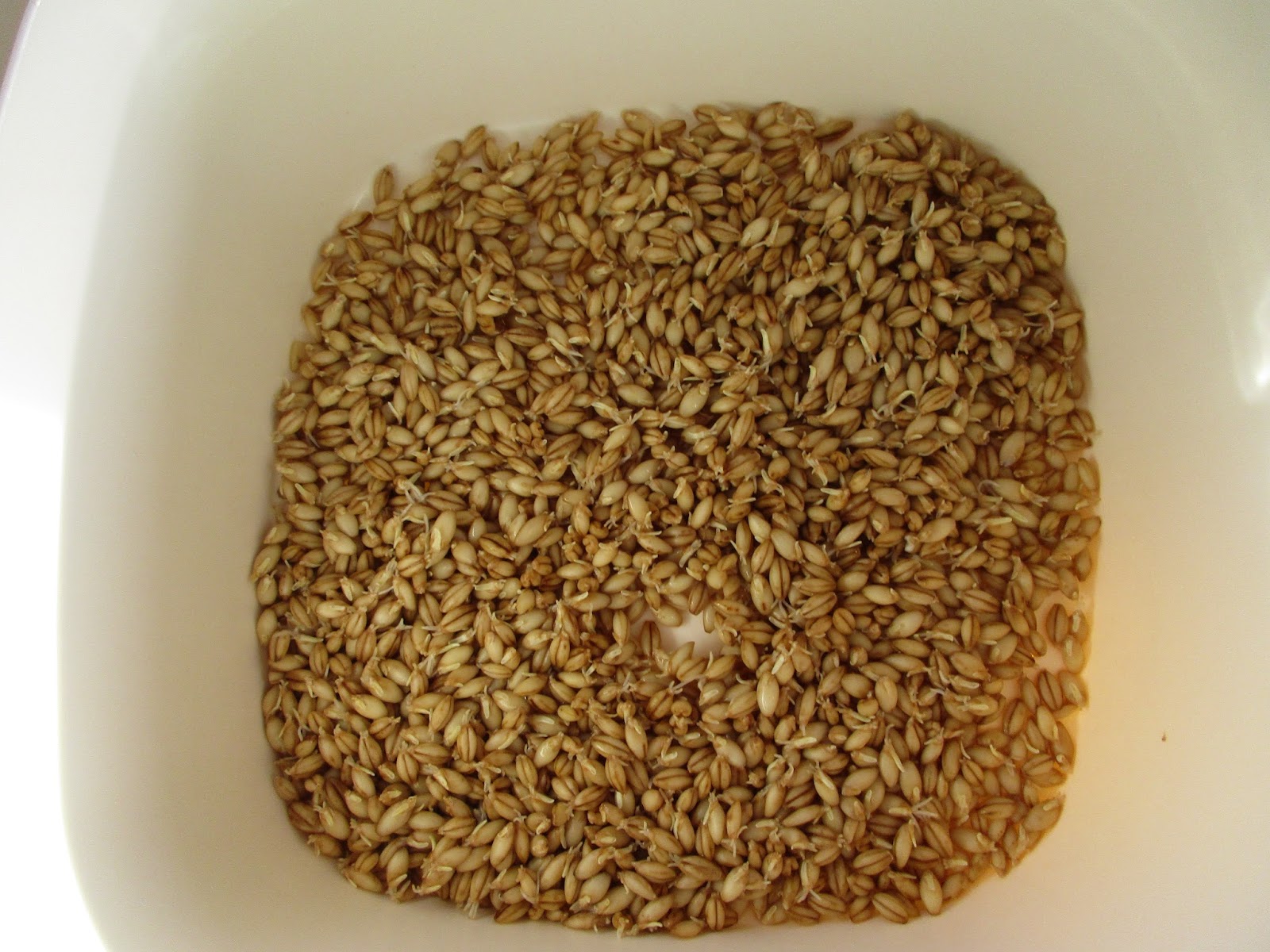 Küchenfein: Gerstenmalzmehl für Brot und Gebäck