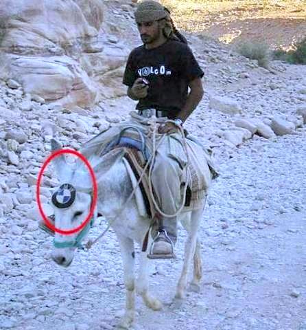 transpress nz: BMW donkey