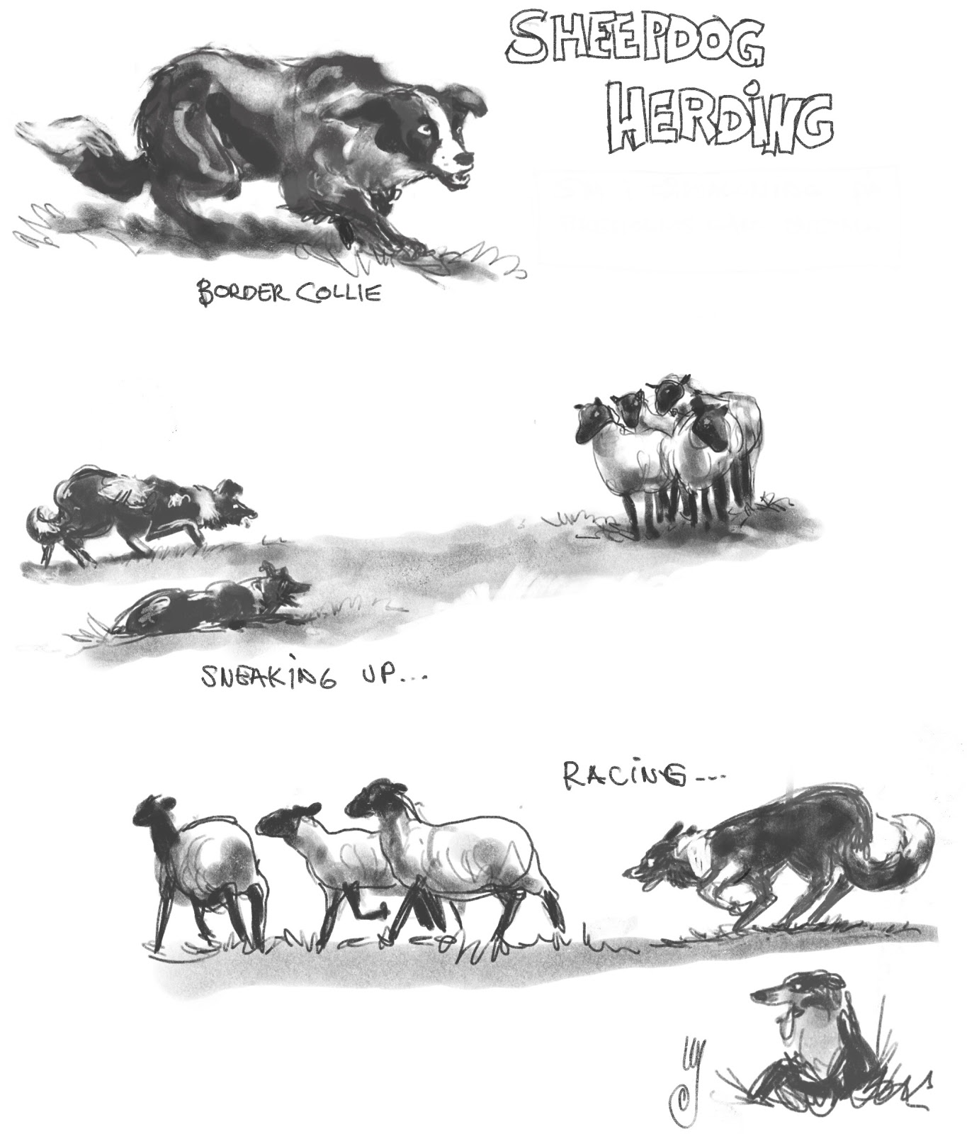 Sketchbook: Sheep herding [animals dog]