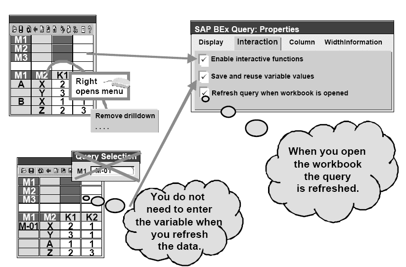 Properties of SAP BW Queries - SAP ABAP