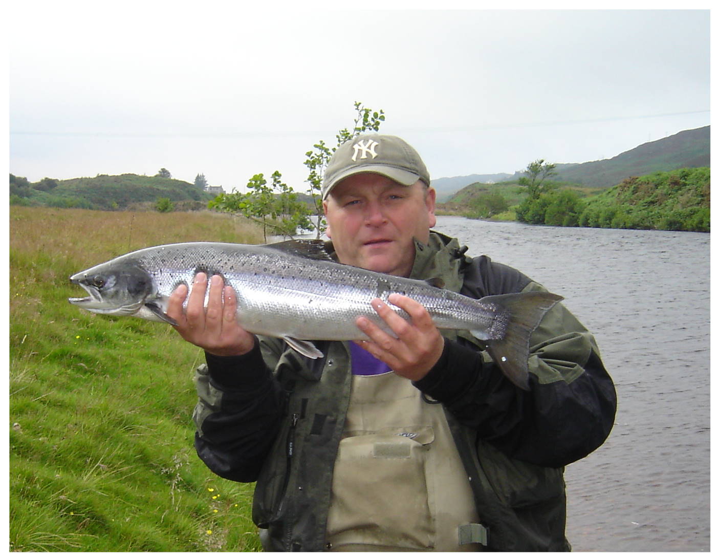 Fish of the Month July Entry - Naver Salmon!