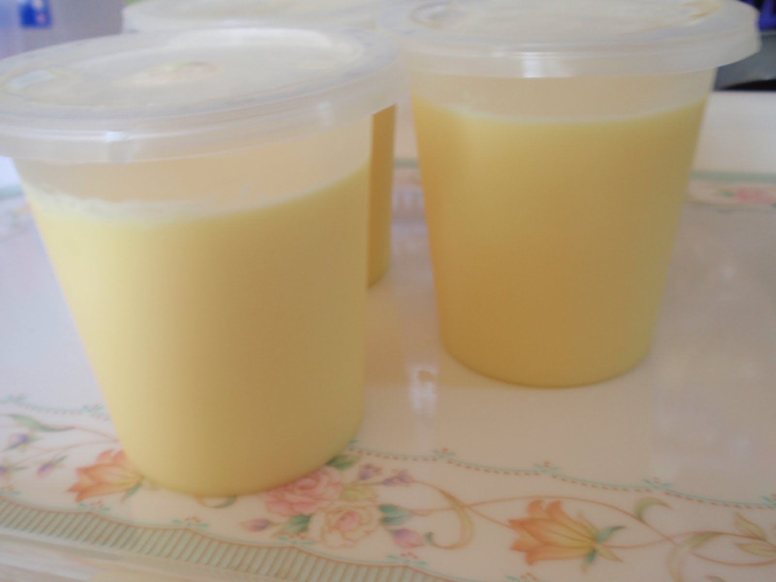 Senandung Budi: RESEPI DADIH