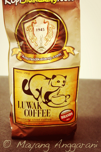 Dairi Ambassador for Tourism: Sidikalang Coffee: The Classic Flavor of ...