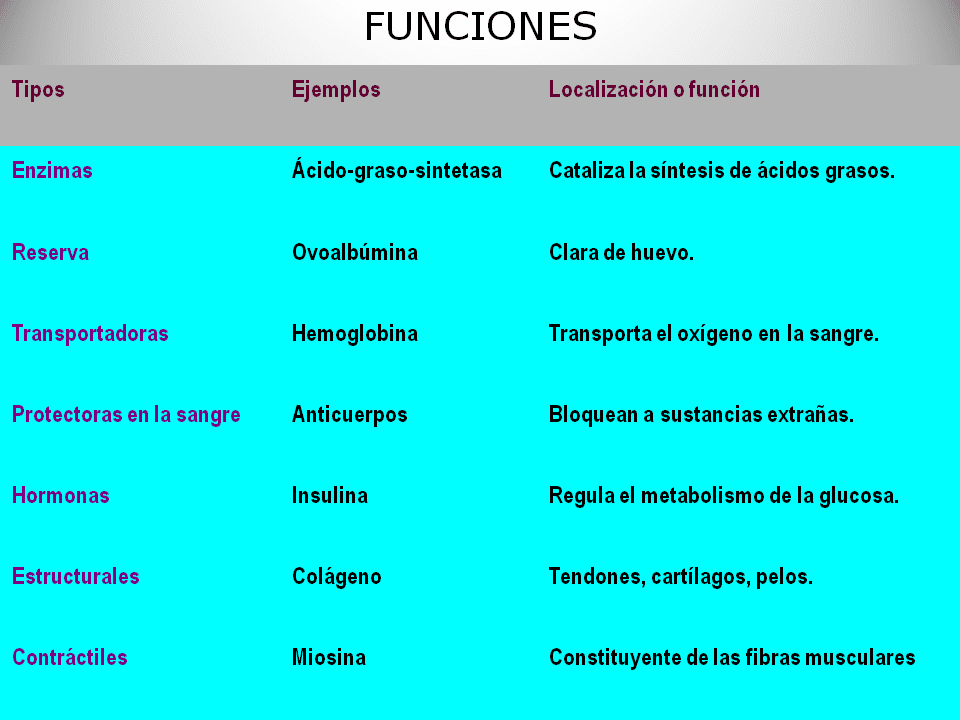 Biología 2º bachillerato.: PRÓTIDOS