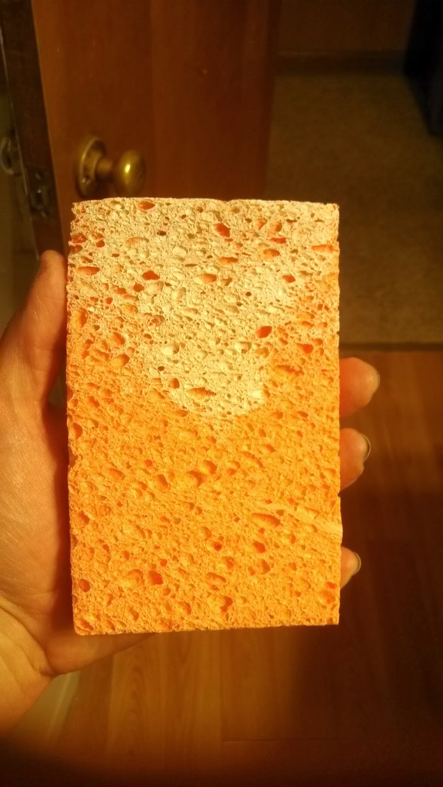 Sawdust and Scissors: Painted Ceiling Tiles