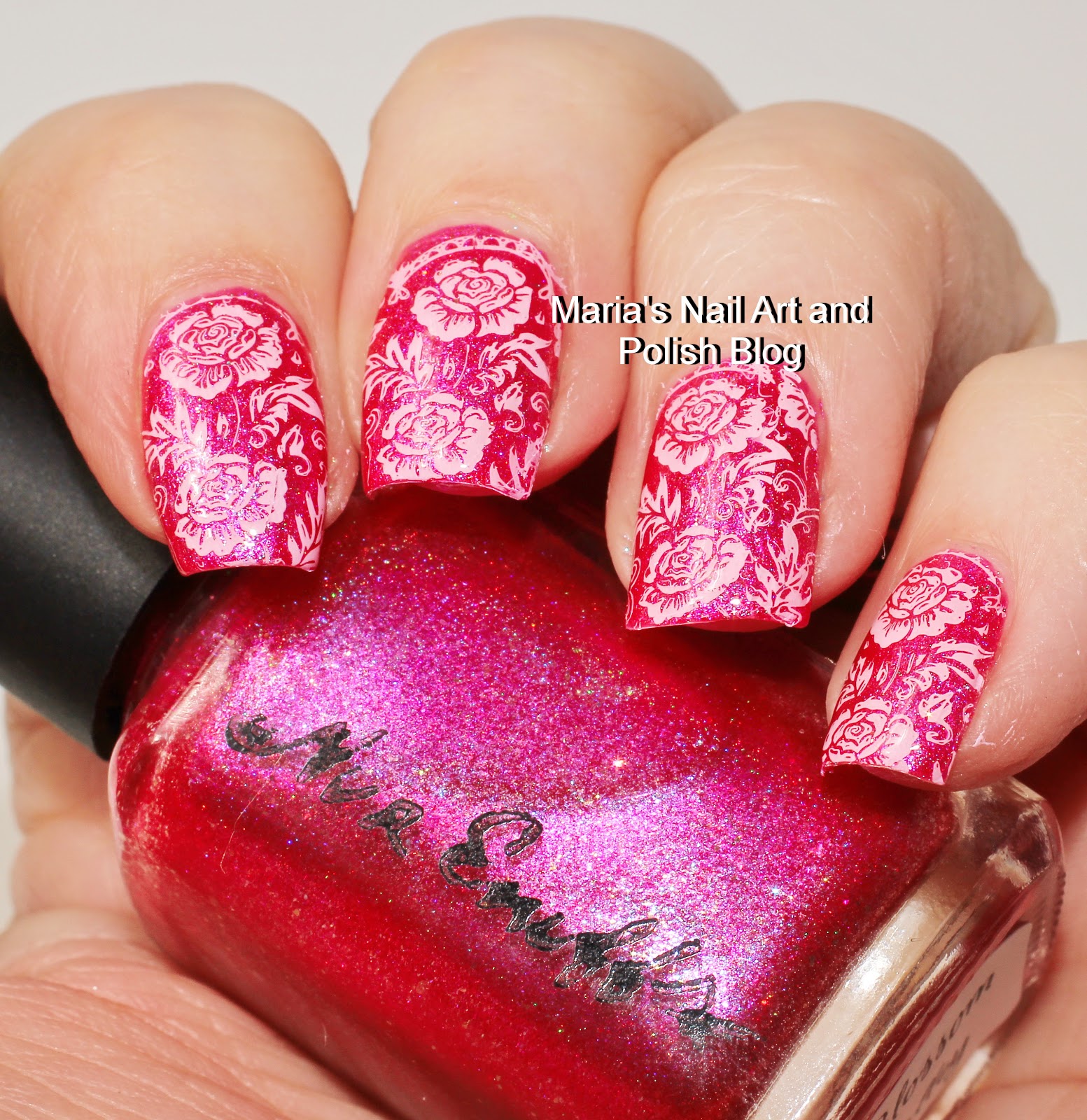Marias Nail Art and Polish Blog: Delaney stamping plates review