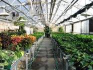 Modern agriculture: Nurseries and plant propagation methods