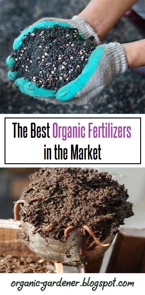 The Best Organic Fertilizers in the Market - Organic Gardening