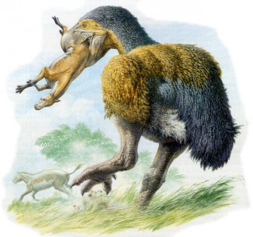 JURASSIC GIANTS: KELENKEN :THE TERROR BIRD