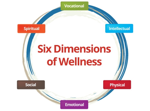Changkat Changi Secondary School Project Work: Six Dimensions of Wellness