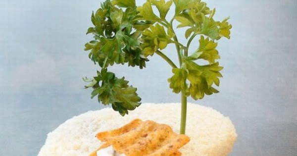 More creative and crazy sandwiches