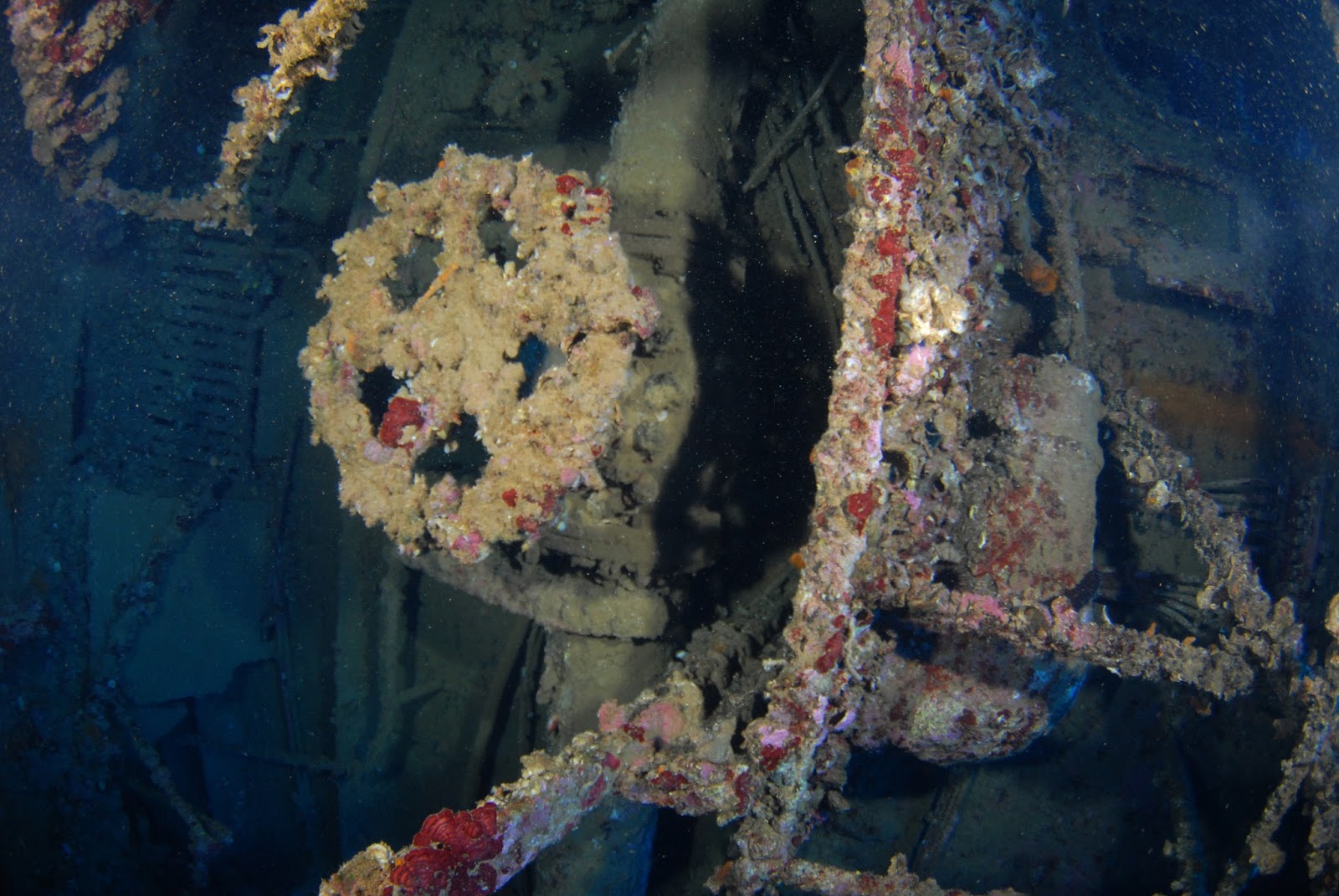 Burdigala: 100 years since the sinking of the second largest shipwreck ...