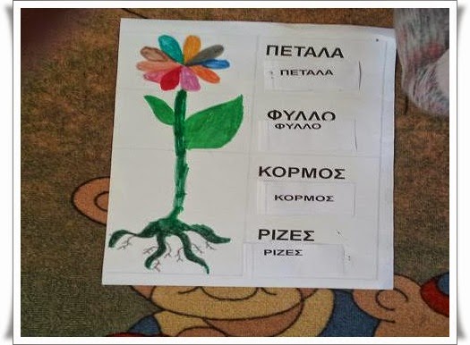 Χαρούμενες φατσούλες στο νηπιαγωγείο: ΤΑ ΜΕΡΗ ΤΟΥ ΛΟΥΛΟΥΔΙΟΥ
