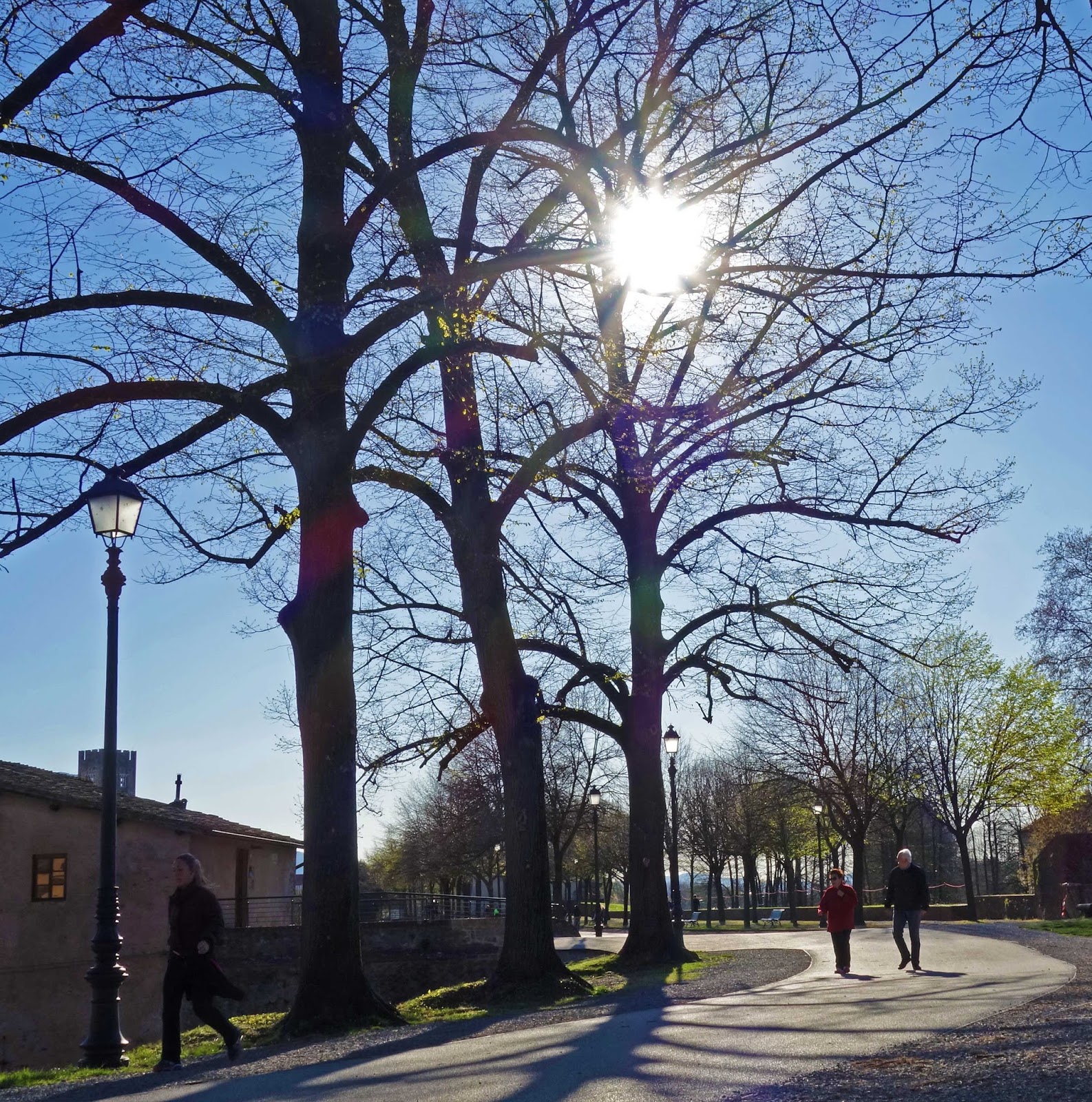 Joe's Retirement Blog: Bright Light Everywhere, Lucca, Tuscany, Italy