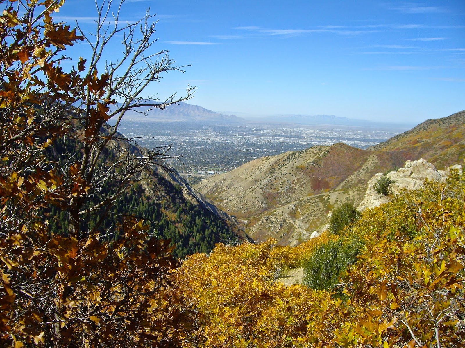 Tales From My Trekking Poles: Salt Lake Valley Overlook-Desolation Trail