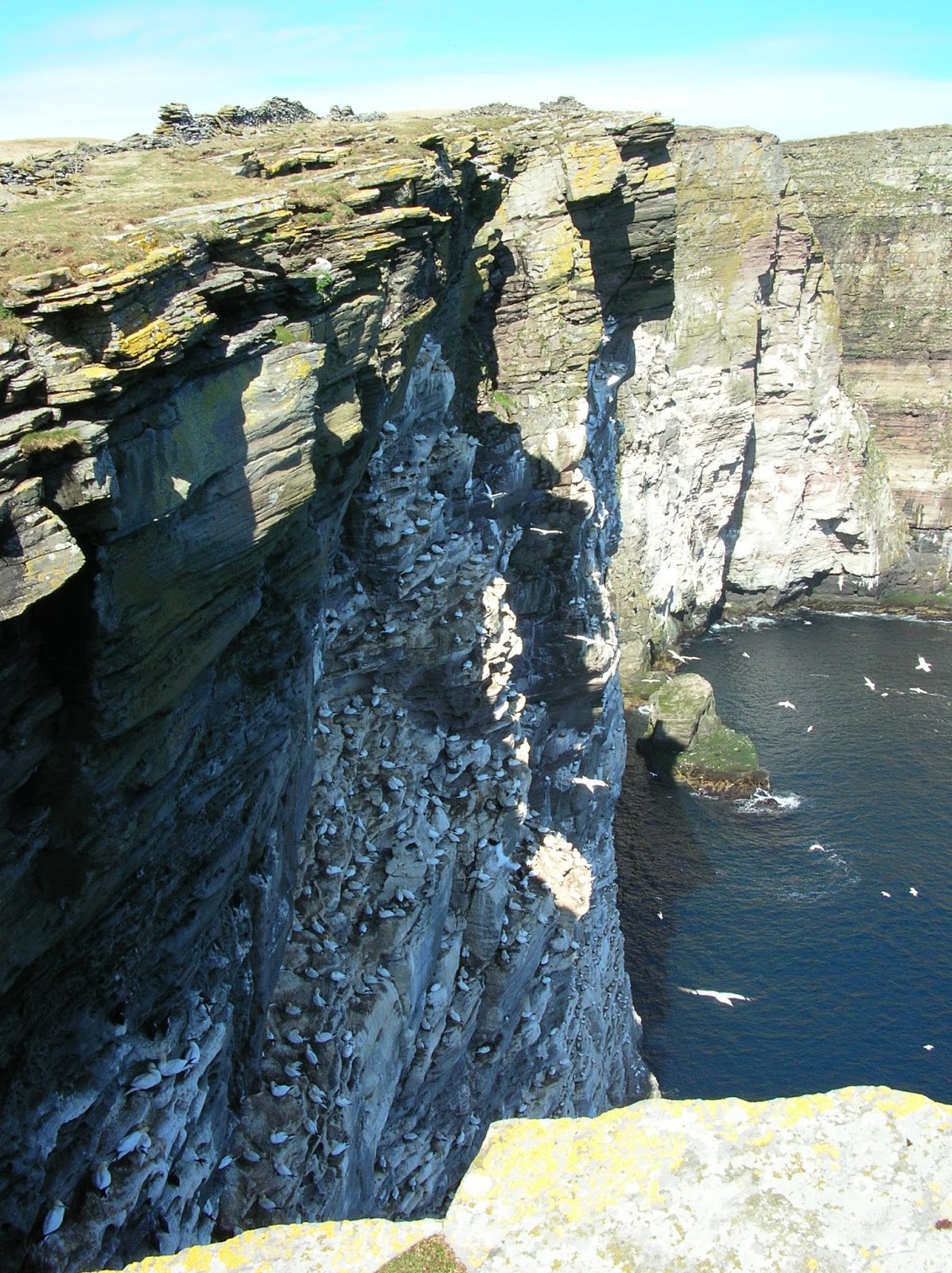 A lifetime of Islands: Island 203 - Noss, Shetland