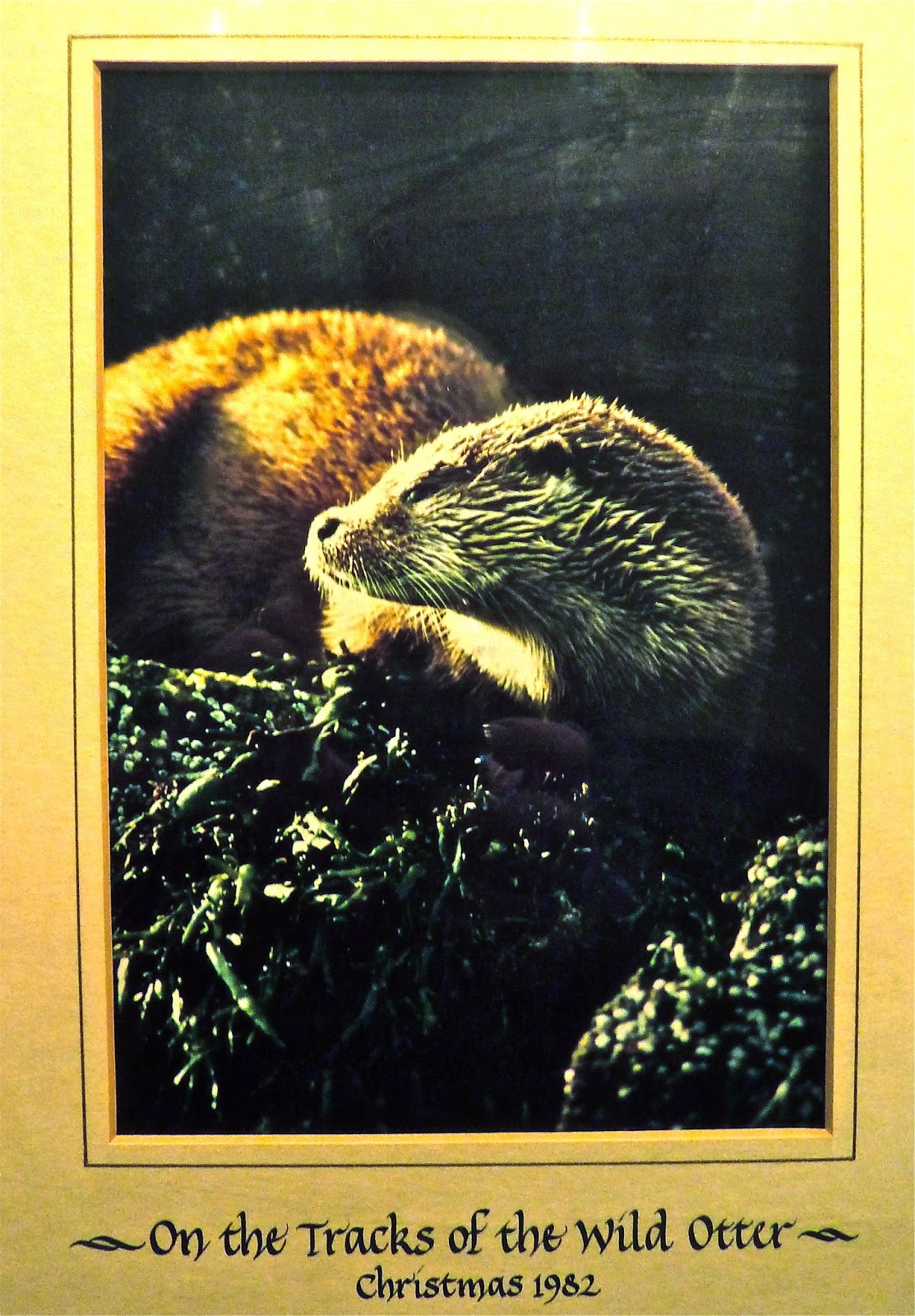 HUGH MILES - WILDLIFE ADVENTURES: August 2013