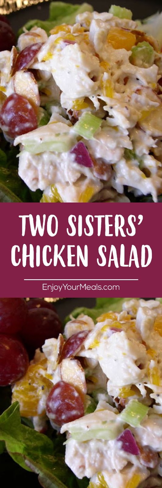 Two Sisters’ Chicken Salad - Vegan Recipes Beginner