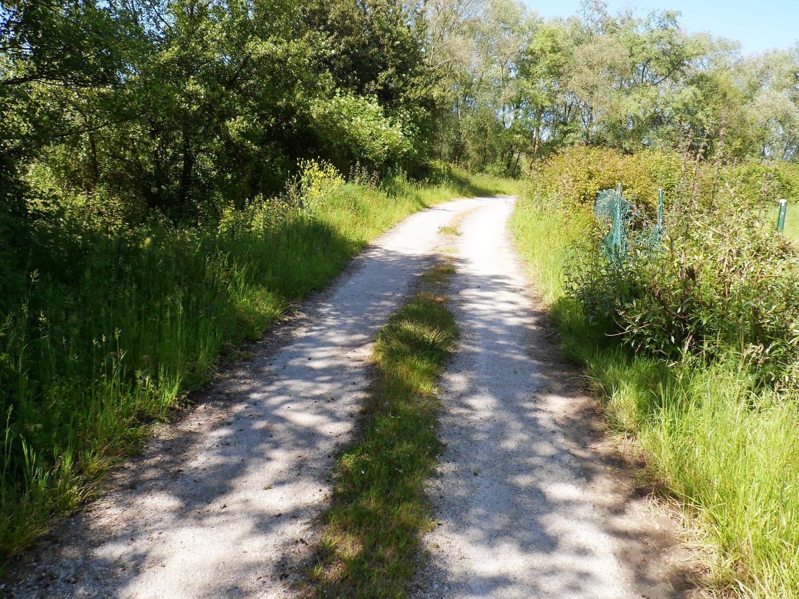 Senda BTT: Apeadero FEVE de Avilés - Embalse de Trasona - Monte'l Pando ...