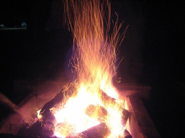 Ms. Choy's Classroom Blog: Hatchet, Chapters 6-12