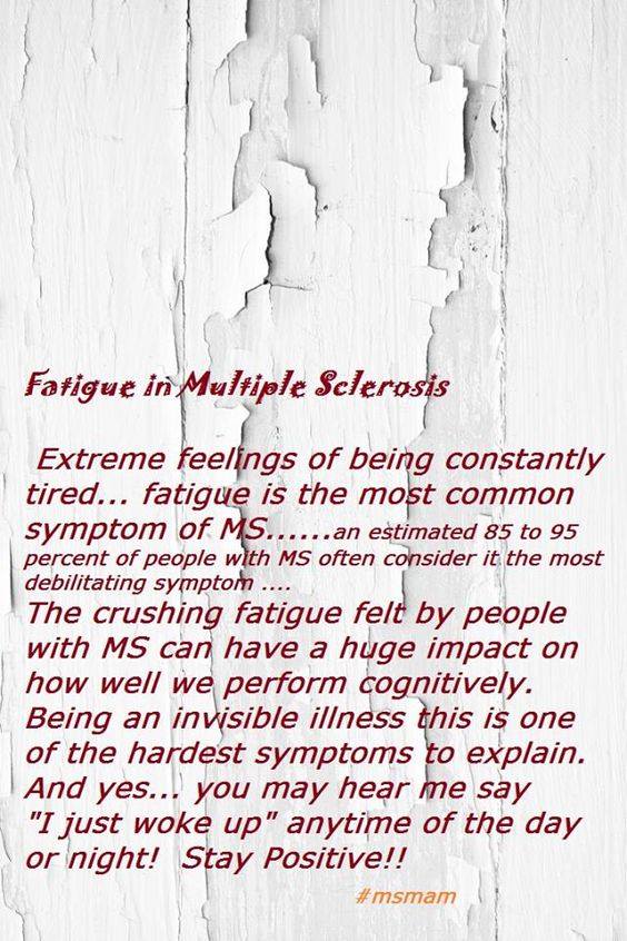 Mal's Gherkin Pram: MS Fatigue