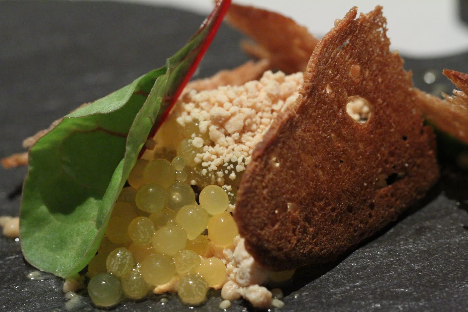 吃喝玩樂 - Diary of a Growing Boy: Toro 2.0