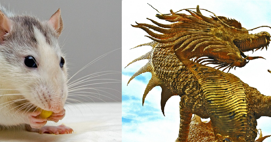 Chinese Horoscope - Compatibility between a Rat and a Dragon