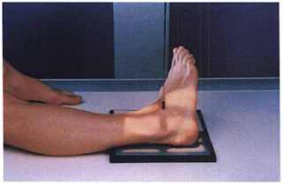 AP MORTISE PROJECTION - 15 TO 20 DEGREE MEDIAL ROTATION : ANKLE ...