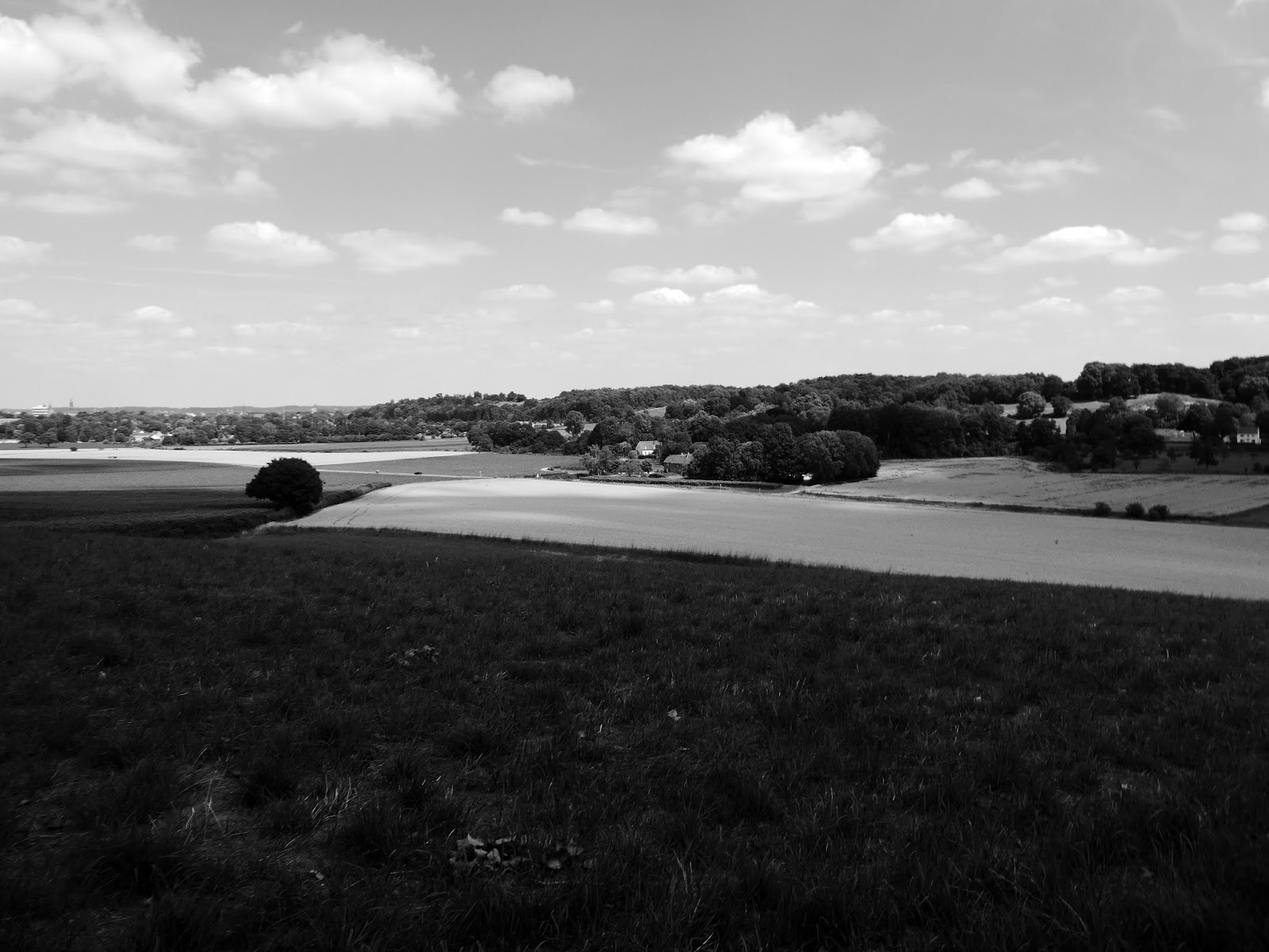 joachimartist: walking the Jeker river