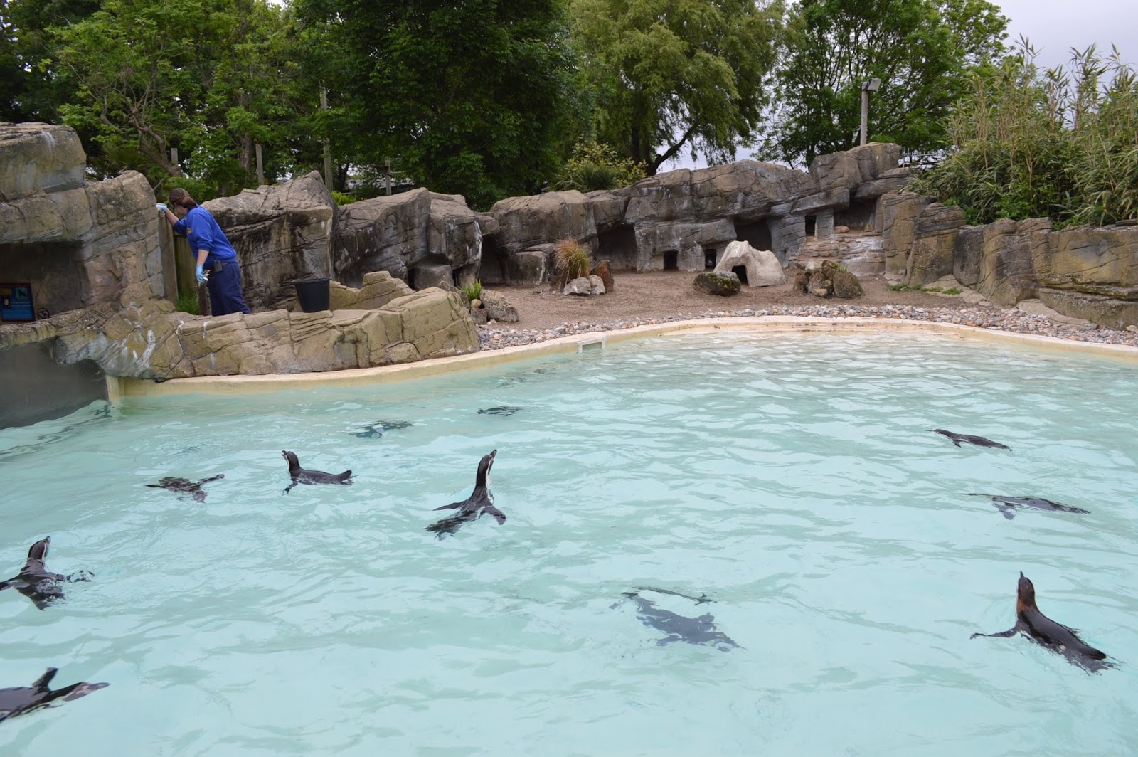 Drusillas Park, Sussex Review | Polly and Pip