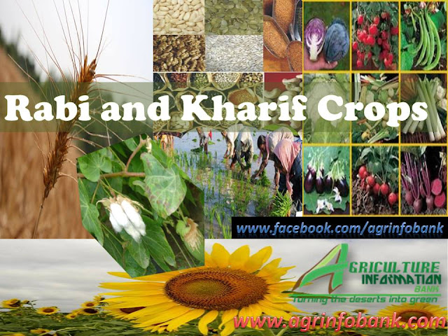 Rabi and Kharif Crops | Agriculture Information Bank