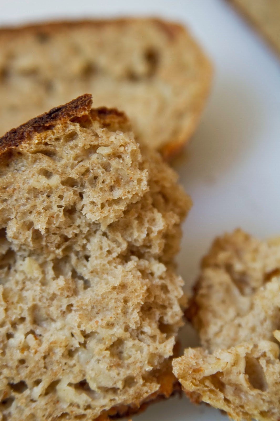 Oat Porridge Bread – Tartine Book No. 3 - Ever Open Sauce
