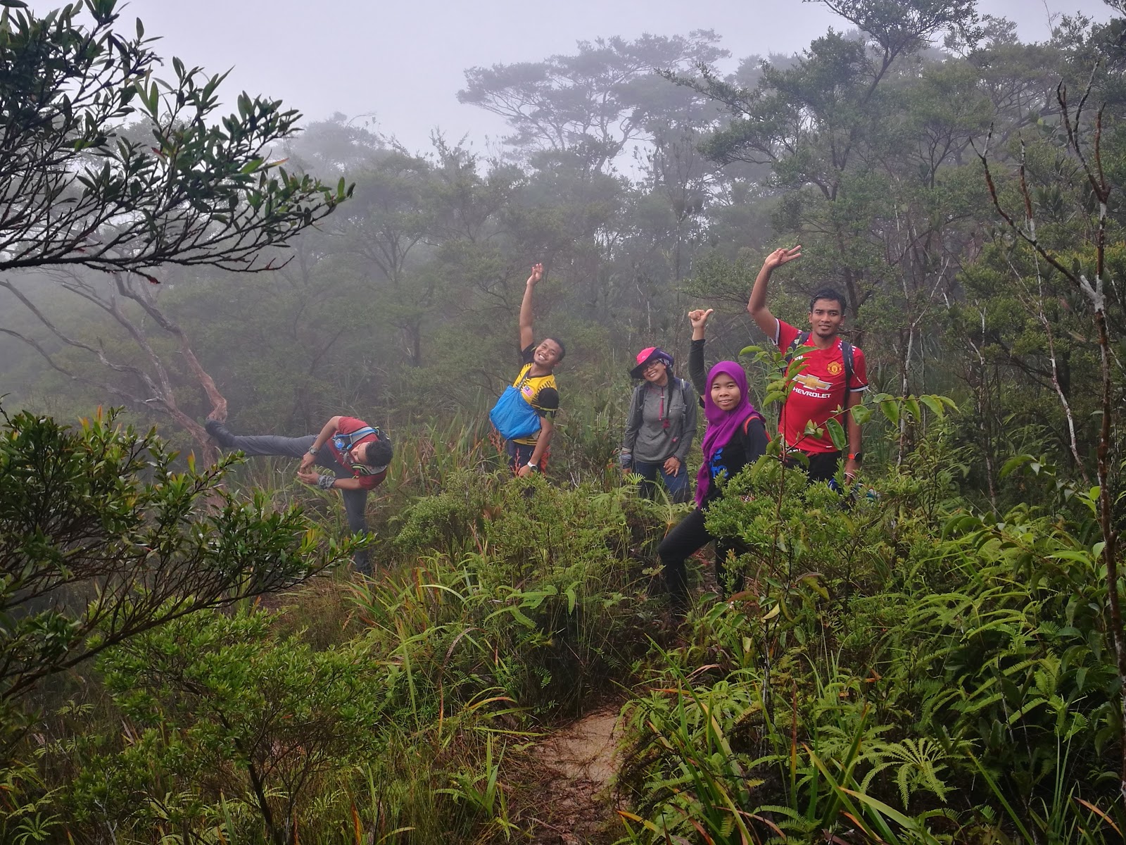 Gunung Terengganu: Gunung Sarut 1229mdpl