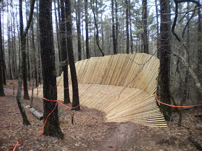 Kansas City Rasta Rider: Issaqueena Forest in pictures and captions.