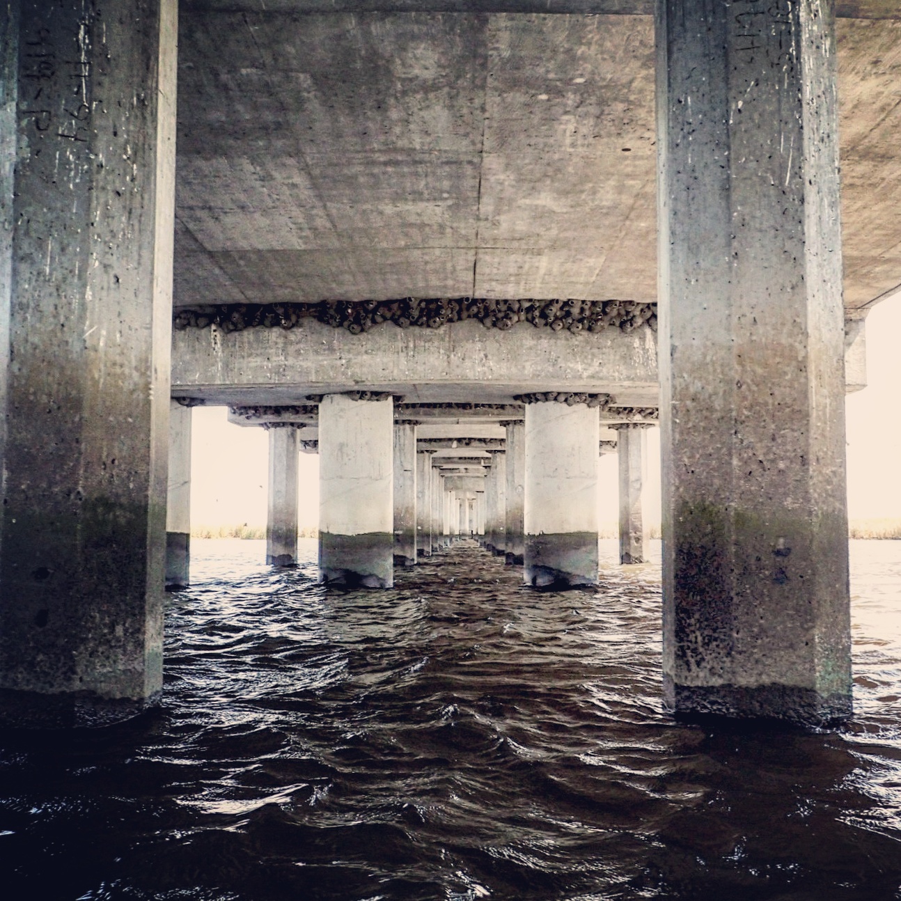 Kayaking the California Delta: Middle River to Mildred Island