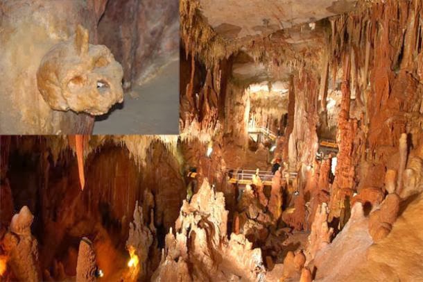 Terra Forming Terra: Petralona man