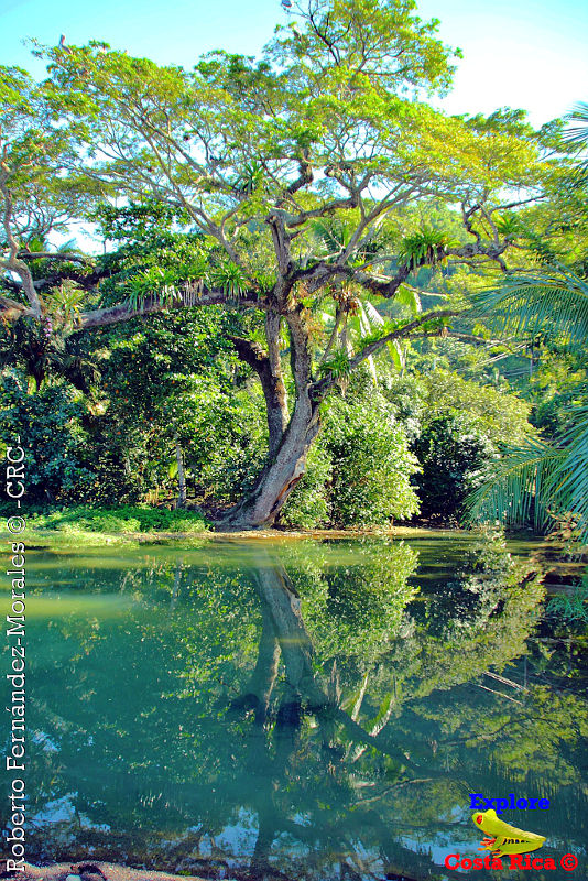 Playa Herradura -Garabito de Puntarenas- | Explore Costa Rica